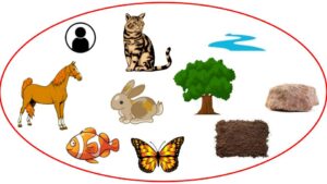 What Is Ecocentrism in Philosophy and Environmental Ethics ...