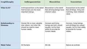 What Is Environmental Ethics? - Environmental Ethics