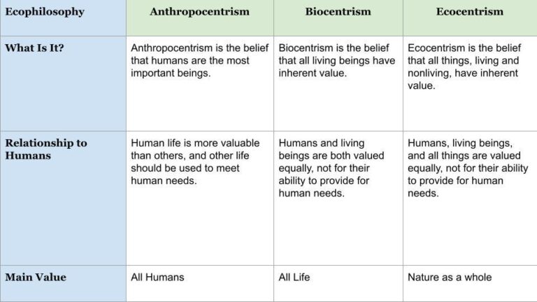 What Is Environmental Ethics? - Environmental Ethics