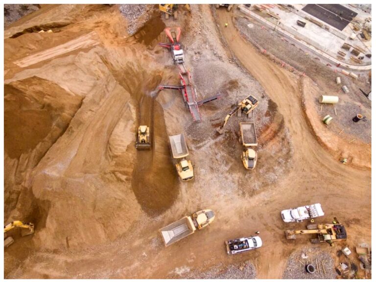 What Is Ecocentrism in Philosophy and Environmental Ethics ...