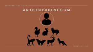 What Is Anthropocentrism in Environmental Ethics? - Environmental Ethics