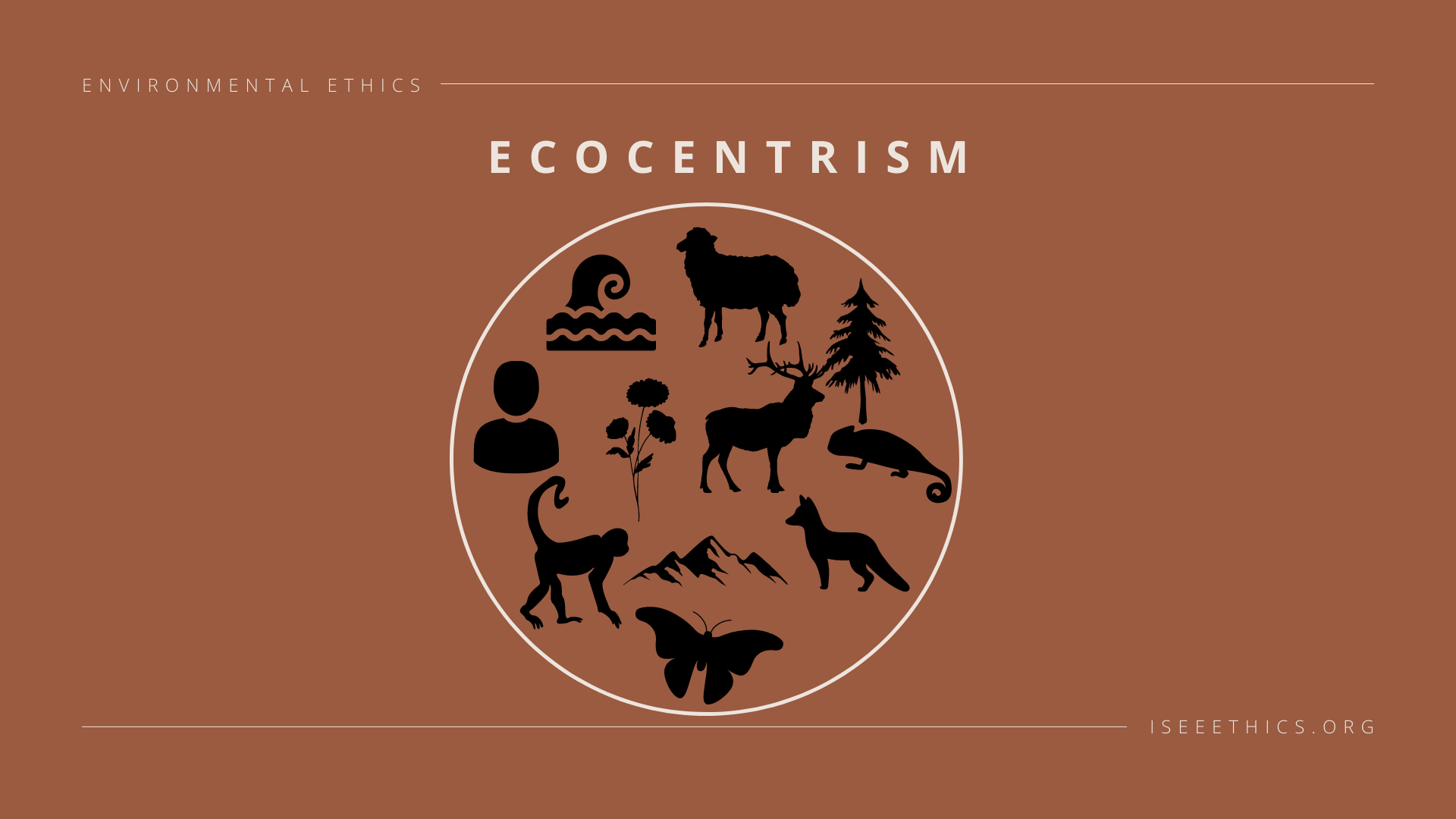 What Is Ecocentrism in Philosophy and Environmental Ethics ...