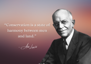 Environmental Ethics Philosophers: An Overview - Environmental Ethics