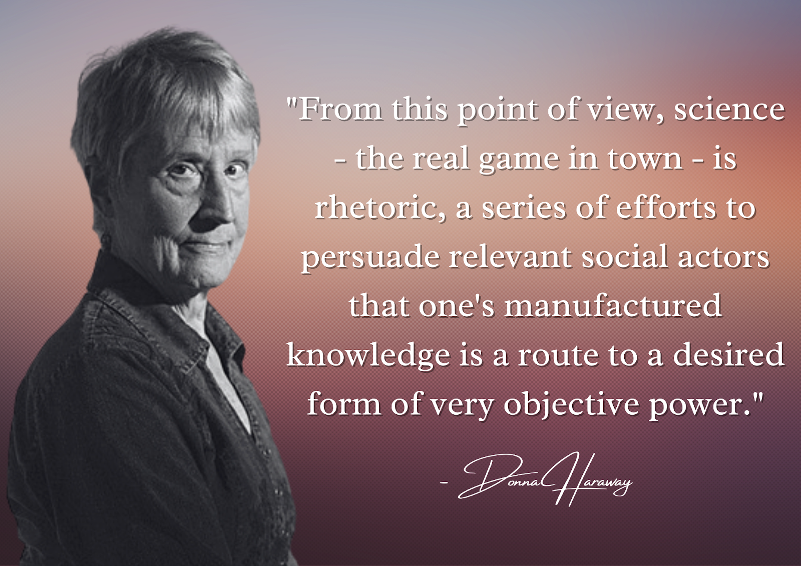 Environmental Ethics Philosophers: An Overview - Environmental Ethics